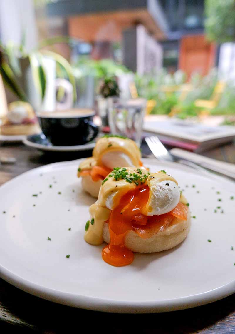 Best Bar and Restaurants in Alibaug | Silvanus Forest Retreat